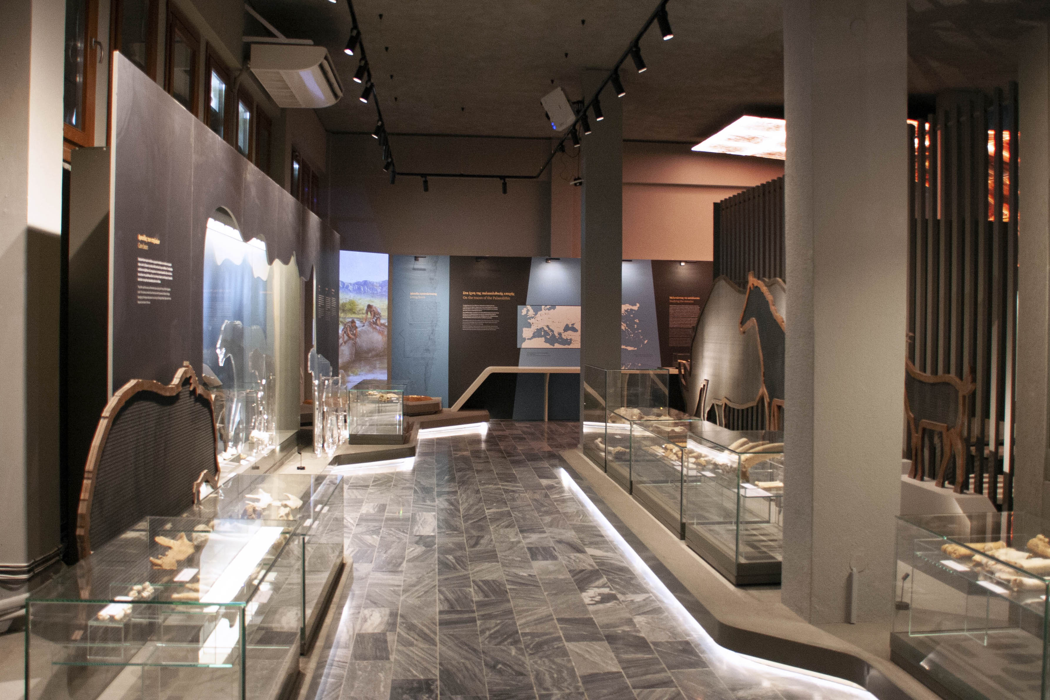 Petralona Cave Museum | Directorate of Archaeological Museums ...